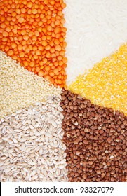 Circle Segments Different Types Grain Stock Photo 93327079 | Shutterstock