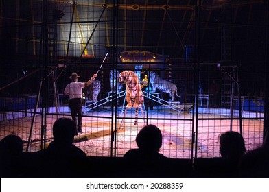 885 Circus Track Images, Stock Photos & Vectors | Shutterstock