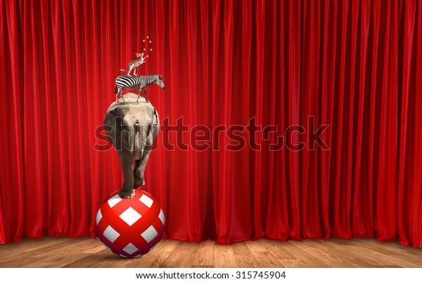 Circus Animals Standing Stack Balancing On Stock Photo 315745904 ...