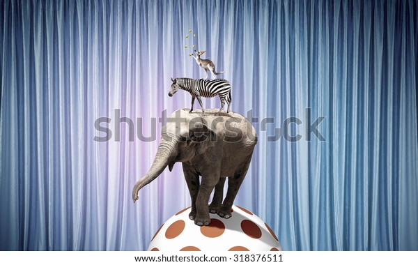 Circus Animals Standing Stack Balancing On Stock Photo 318376511 ...