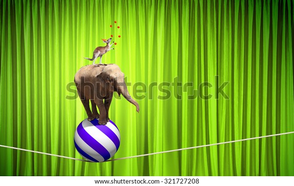 Circus Animals Standing Stack Balancing On Stock Photo 321727208 ...