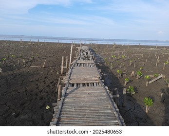 490 Sea cirebon Images, Stock Photos & Vectors | Shutterstock