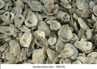 Clam Shells Stock Photo 930178 | Shutterstock