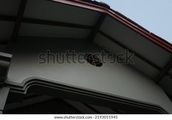 Classic Architectural Ceiling Design Stock Photo 2193011945 | Shutterstock