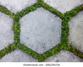 Classic Hexagonal Block Grass Paving Hexagonal Stock Photo 2001296726 ...