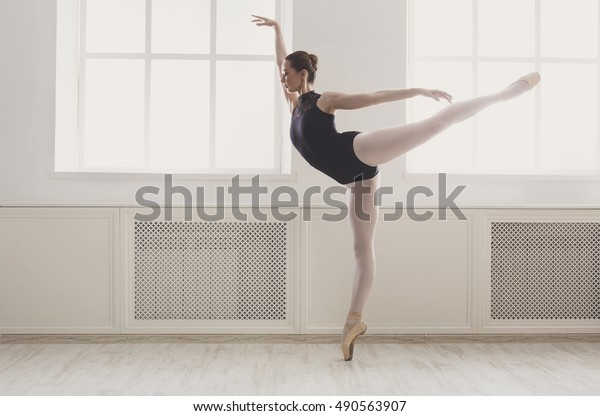 Classical Ballet Dancer Side View Beautiful Stock Photo (Edit Now ...