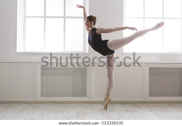 Classical Ballet Dancer Side View Beautiful Stock Photo 513336535 ...