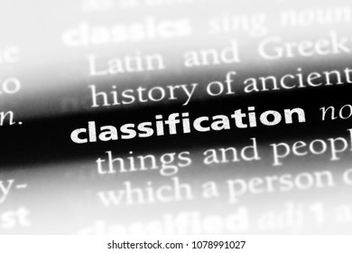 Classification Word Dictionary Classification Concept Stock Photo ...