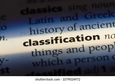 Classification Word Dictionary Classification Concept Stock Photo ...