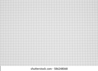 Detailed Blank Math Paper Pattern Texture Stock Photo 243097039 ...