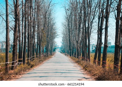 166,146 Clear path Images, Stock Photos & Vectors | Shutterstock