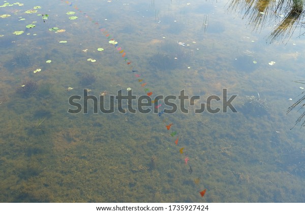 Clear Water Reflection On Surface Water Stock Photo 1735927424 ...