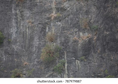 Cliff Face Texture Stock Photo 787979887 | Shutterstock
