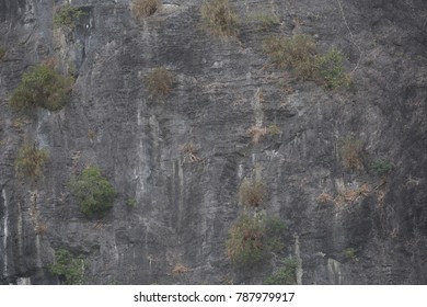 Cliff Face Texture Stock Photo (Edit Now) 787979905