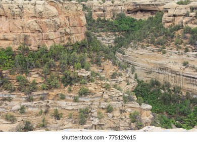 1,137 Cliffside Trees Images, Stock Photos & Vectors | Shutterstock
