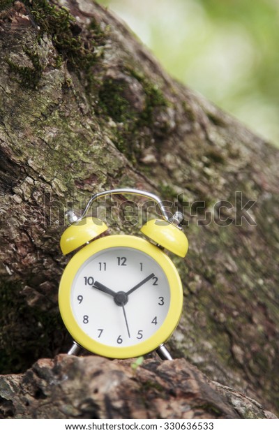 Clock Nature Stock Photo (Edit Now) 330636533