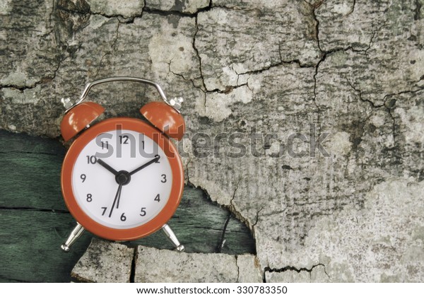 Clock Nature Stock Photo (Edit Now) 330783350