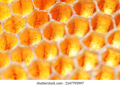 41,607 Propolis 스톡 사진, 이미지 및 사진 | Shutterstock