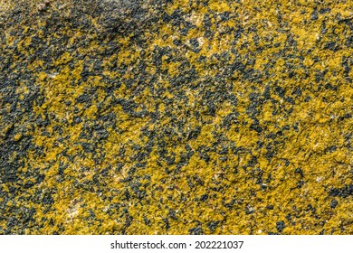 Close Bedrock Background Texture Stock Photo 202221037 | Shutterstock