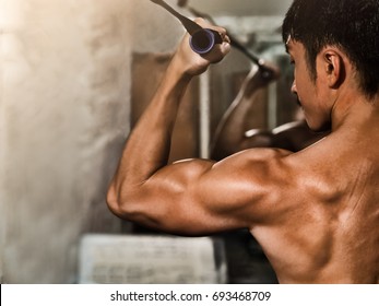 4,811 Male Upper Arm Images, Stock Photos & Vectors | Shutterstock