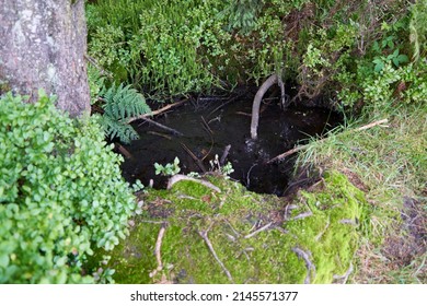 448 Mooring stump Images, Stock Photos & Vectors | Shutterstock
