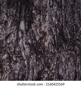 Close Dark Tree Bark Texture Stock Photo 2160425569 | Shutterstock