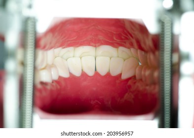 Dentoform 108 รายการ ภาพ ภาพสต็อกและเวกเตอร์ | Shutterstock