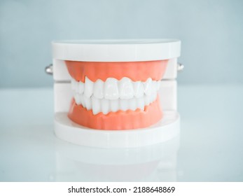 Close Denture Tooth Front View Acrylic Stock Photo 2188648869 ...