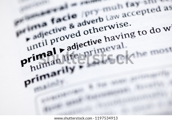 Close Dictionary Definition Primal Stock Photo 1197534913 | Shutterstock