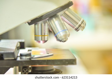Close Examining Test Sample Under Microscope Stock Photo (Edit Now ...