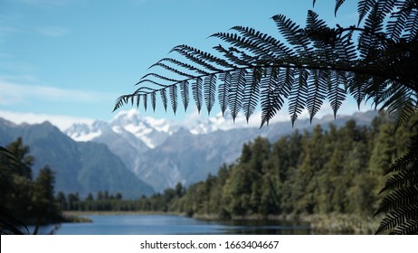 15,642 Forest Zoom Out Images, Stock Photos & Vectors | Shutterstock