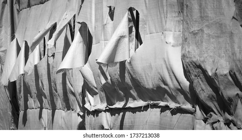 Close Flutter Wind Stock Photo 1737213038 | Shutterstock