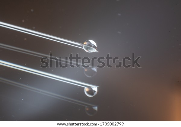 Close Injection Needle Stock Photo 1705002799 | Shutterstock