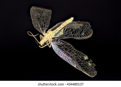 Close Lacewing Lying On Back Showing Stock Photo 434480137 | Shutterstock