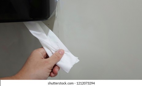 Hand Pulling Toilet Paper Dispenser Restroom 스톡 사진 1480200737 ...