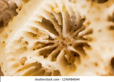 202 Corel element Images, Stock Photos & Vectors | Shutterstock