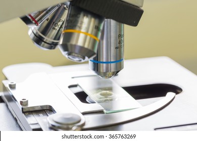 Close Microscopes Laboratory Stock Photo 365763269 | Shutterstock