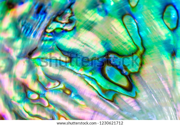 Close Multicolour Texture Background Paua Shell Stock Photo 1230621712 ...