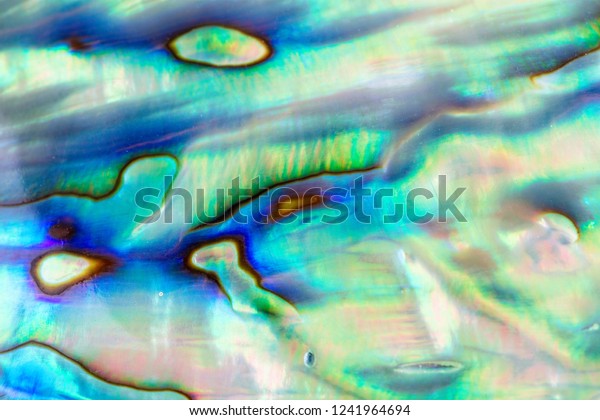 Close Multicolour Texture Background Paua Shell Stock Photo 1241964694 ...