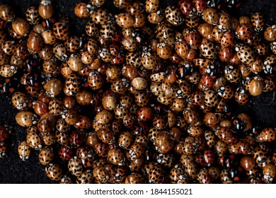 Stock Photo and Image Portfolio by Mplasen | Shutterstock
