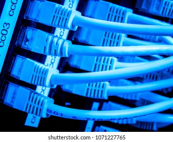 Close Network Cables Connected Switch Stock Photo 1071227765 | Shutterstock