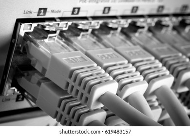 Close Network Cables Connected Switch Stock Photo (Edit Now) 166919201