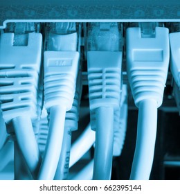 Close Network Cables Connected Switch Stock Photo (Edit Now) 210271003