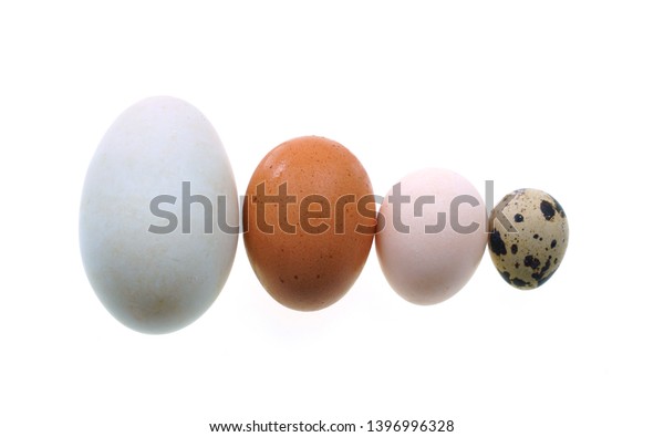 Close On Different Size Eggs Isolated Stock Photo (Edit Now) 1396996328
