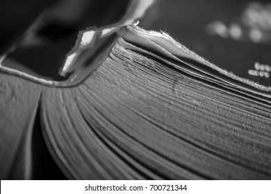 Close Open Book Faced Down Stock Photo 700721344 | Shutterstock