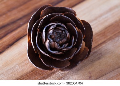 409 Rose shaped pine cone Images, Stock Photos & Vectors | Shutterstock