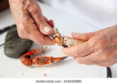 71,436 Close crab Images, Stock Photos & Vectors | Shutterstock