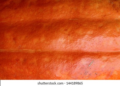 Stock Photo and Image Portfolio by Art Vector | Shutterstock