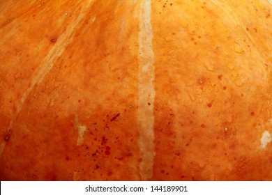 Stock Photo and Image Portfolio by Art Vector | Shutterstock
