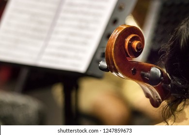 283 Violin peg box Images, Stock Photos & Vectors | Shutterstock